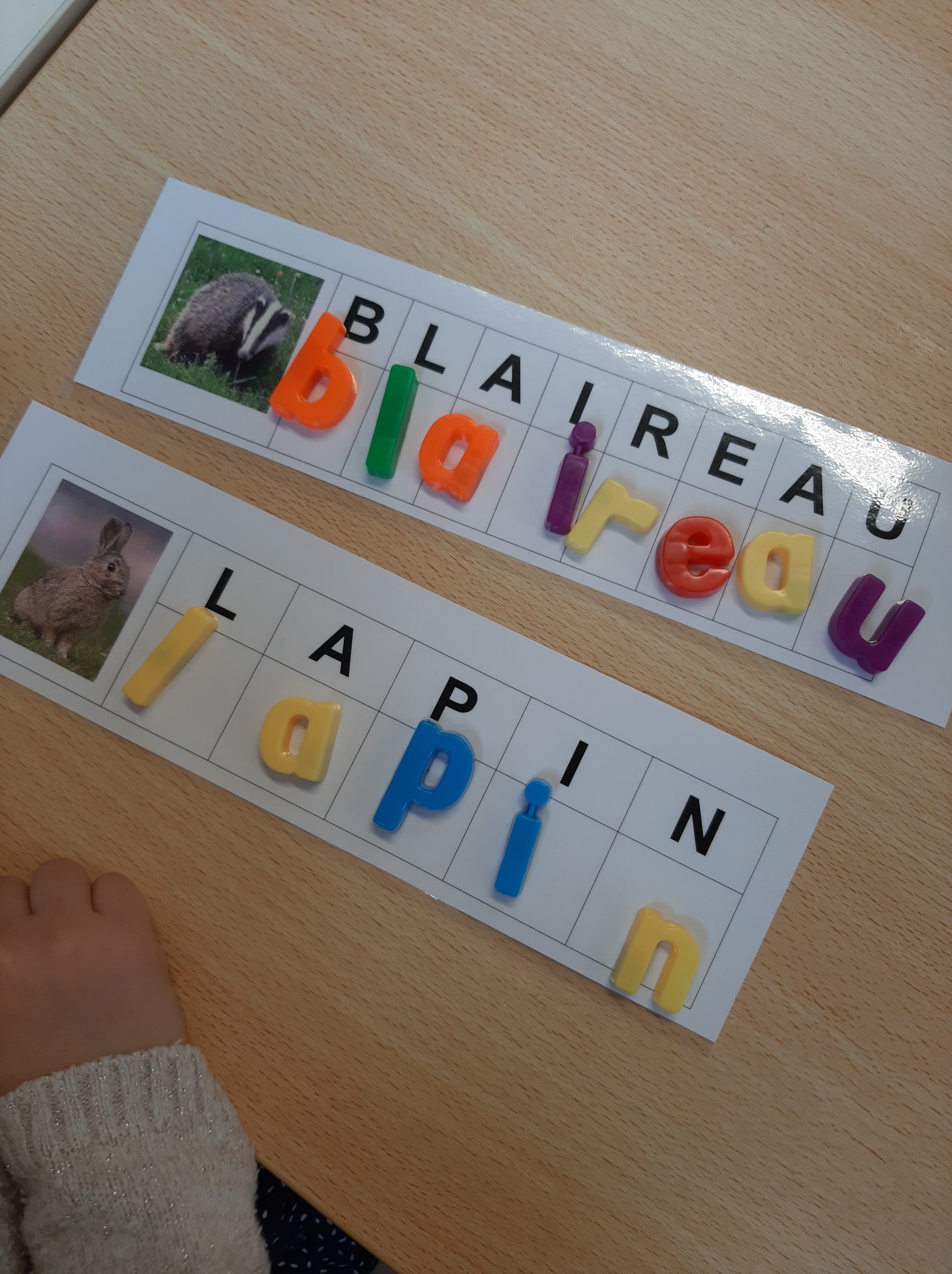 Projet sur les animaux – Le blog d'Ann