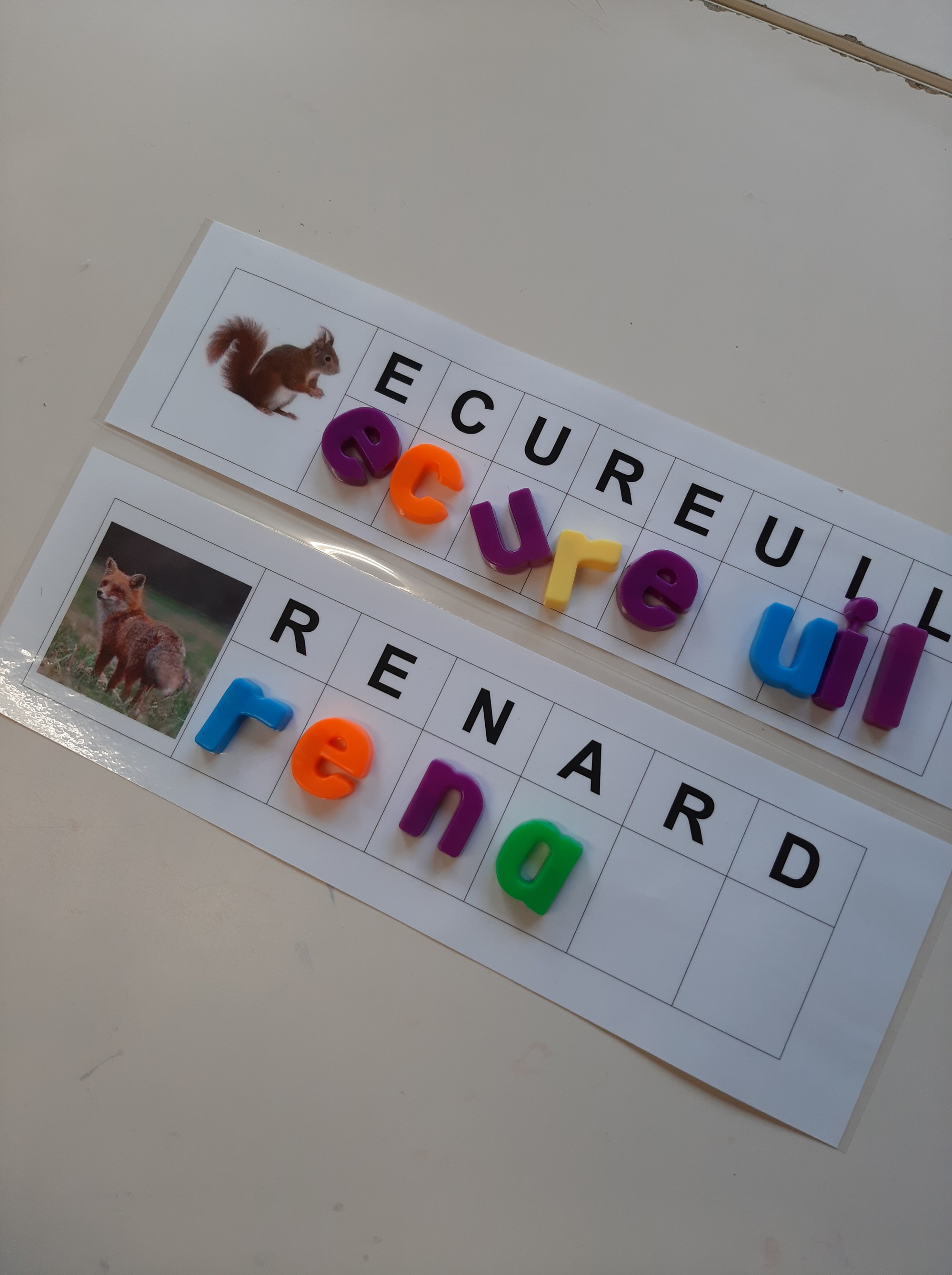 Projet sur les animaux – Le blog d'Ann