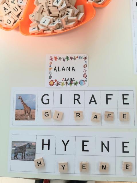 Projet sur les animaux – Le blog d'Ann